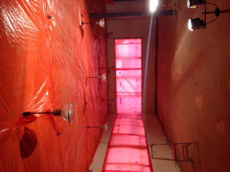 Niagara mold remediation – SLC Environmental | Ontario Asbestos & Mould ...